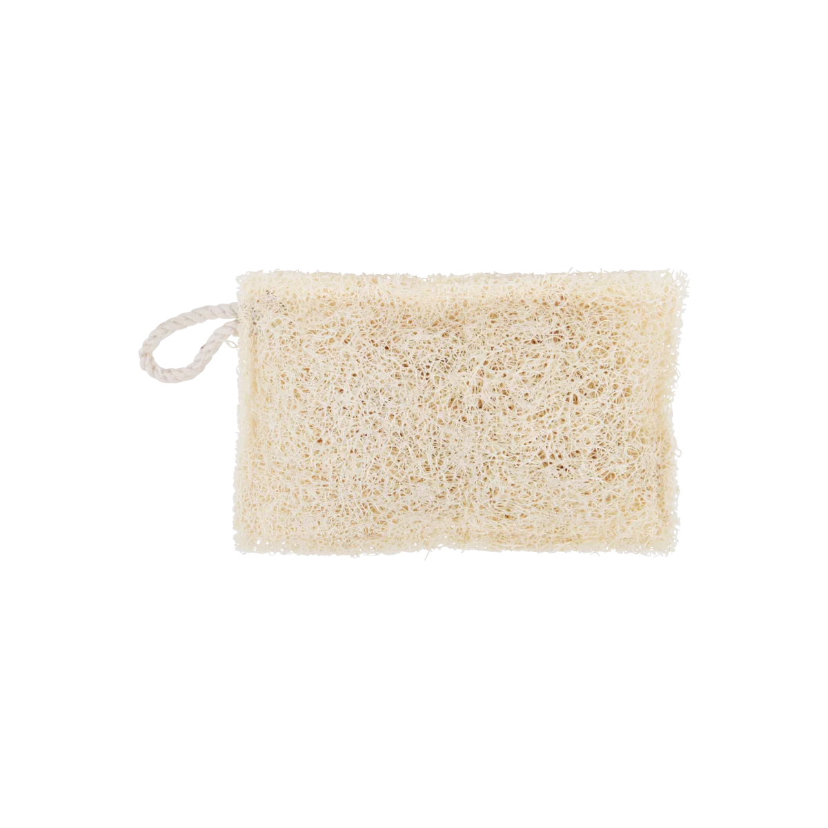 Loofah Dishwashing Sponge – THE VERDANT MAIDEN